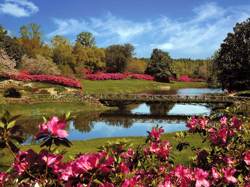 Alabama’s Coastal Connection on OverlookMaps.com