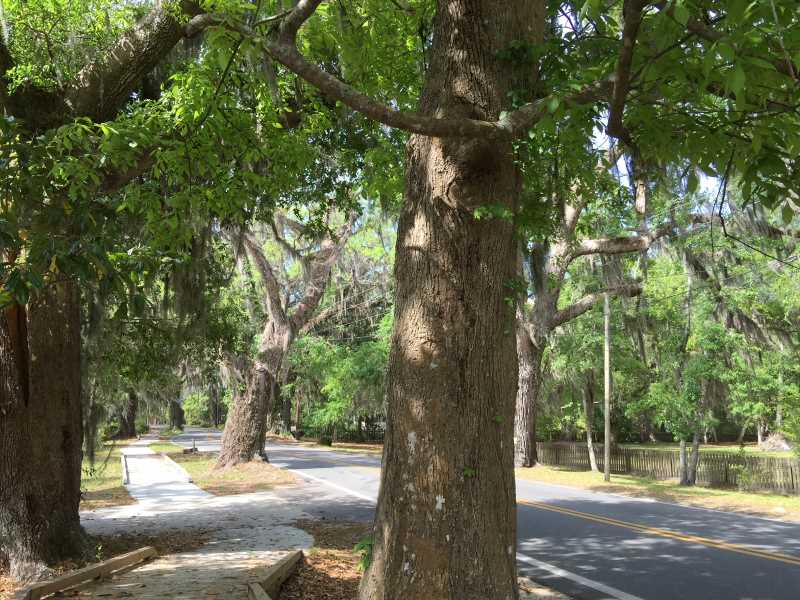 Altamaha Historic Scenic Byway on OverlookMaps.com