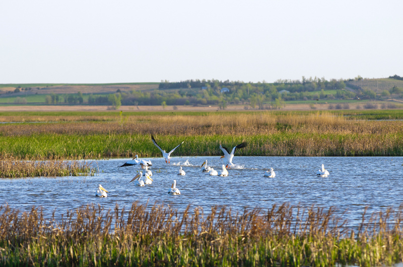 Wetlands & Wildlife National Scenic Byway on OverlookMaps.com