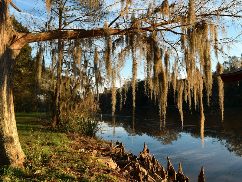 Bayou Teche National Scenic Byway on OverlookMaps.com