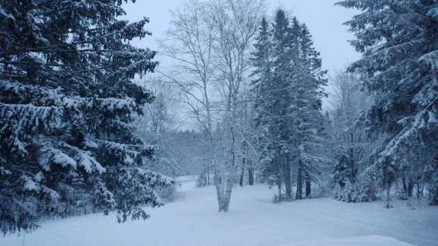 Currier and Ives Trail on OverlookMaps.com