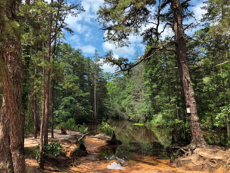Pine Barrens Scenic Byway on OverlookMaps.com